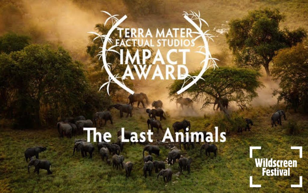 You Can Make a Difference | The Last Animals